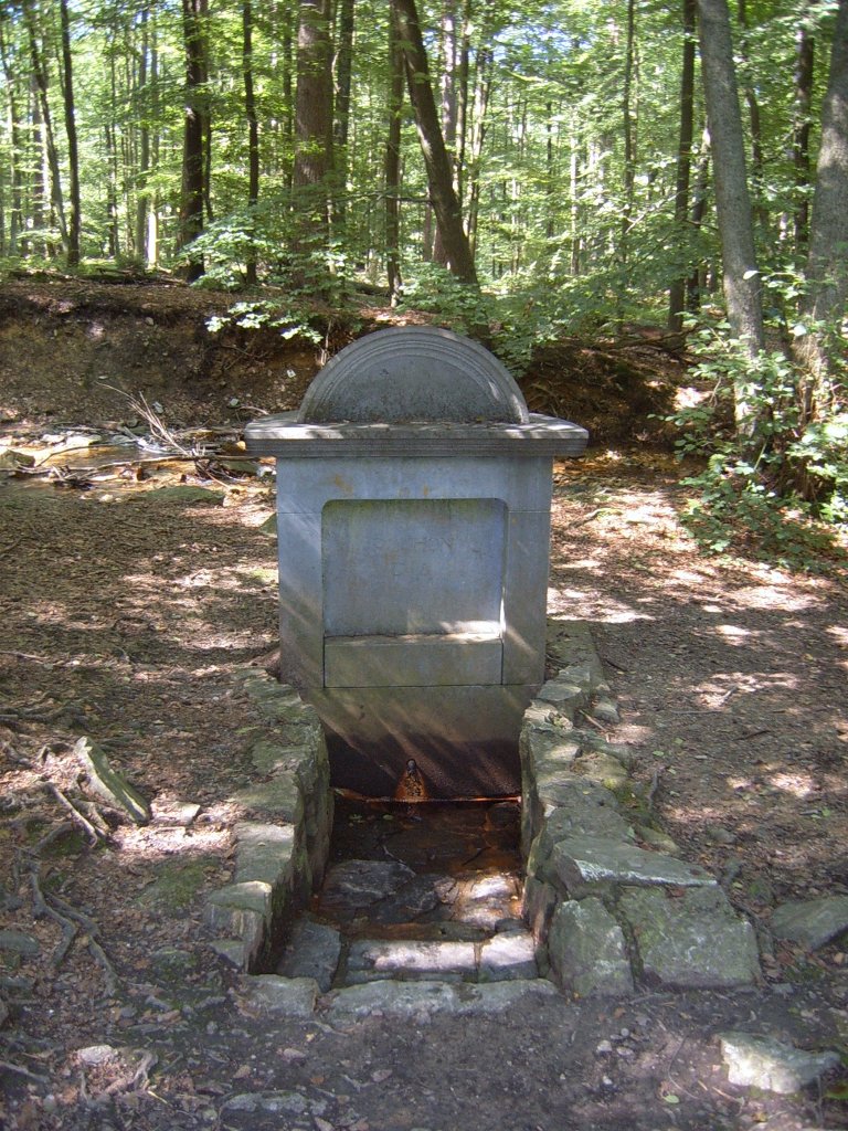 Pouhon Pia - Eau de source à Spa - Belgique